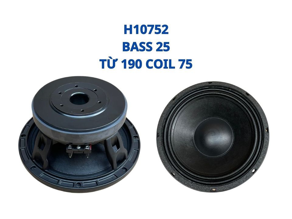 bass 25 NHẬP KHẨU | THIÊN PHÚ AUDIO | AUDIO THUẬN AN BÌNH DUONG ...